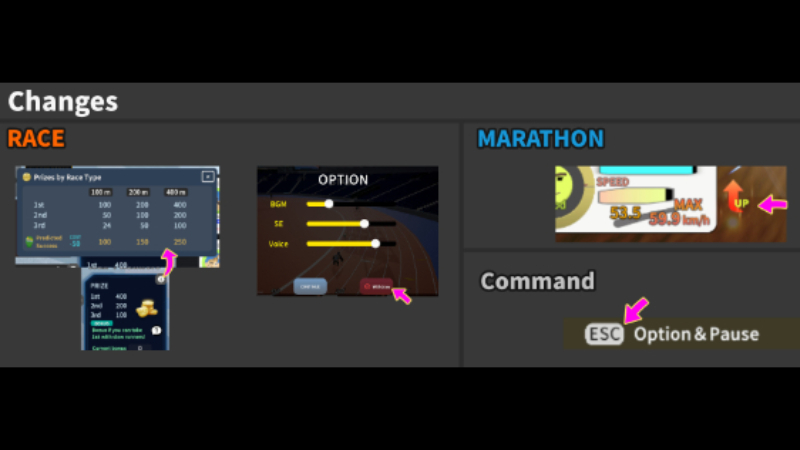 Steam :: Animal Run Relay :: Update ver.1.0.4