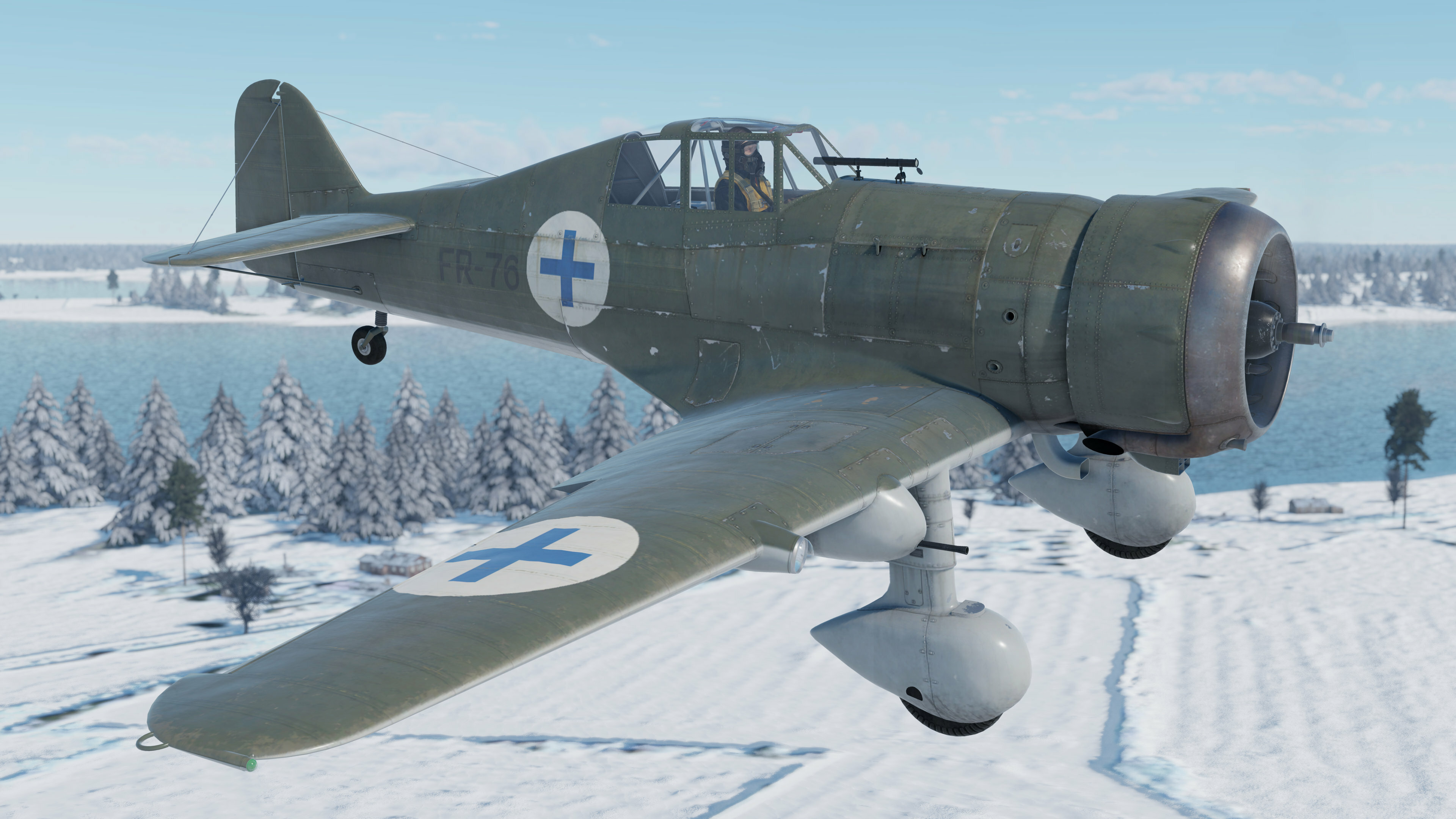 The Finnish licensed copy of the Dutch Fokker D.XXI fighter is a master ...