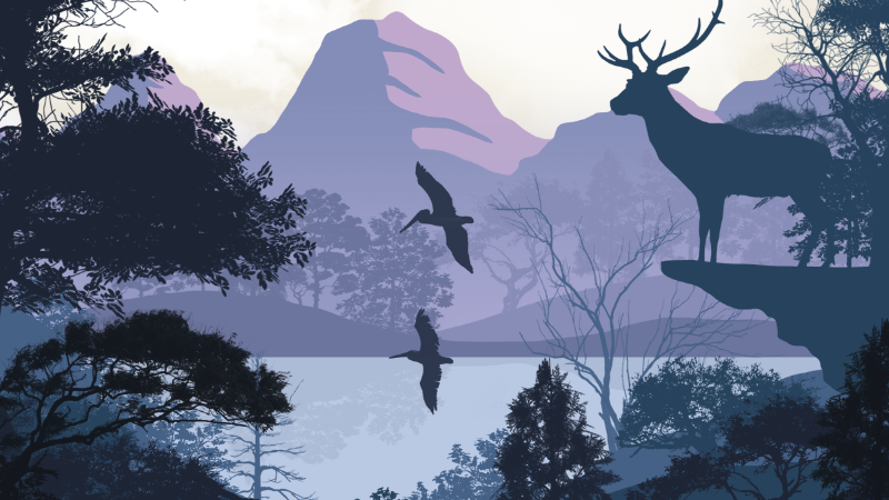 Steam :: Imagine Earth :: World Nature Conservation Sale