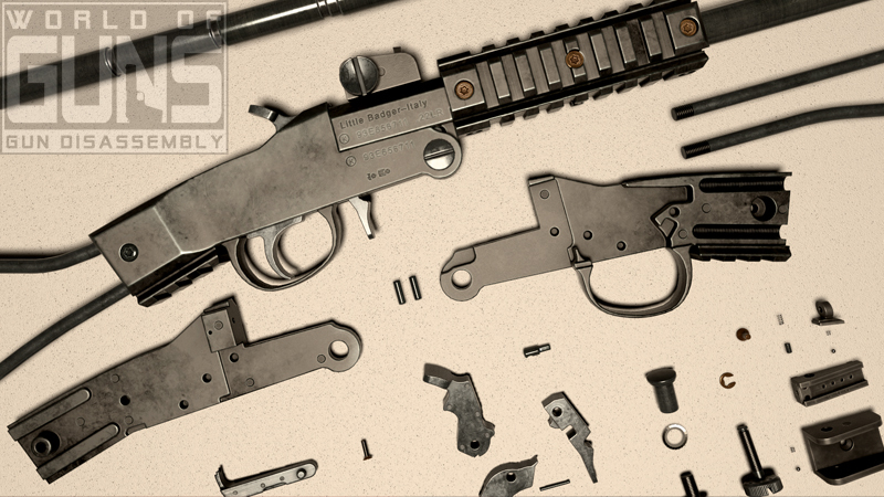 World of Guns: Gun Disassembly - Chiappa Little Badger survival rifle ...