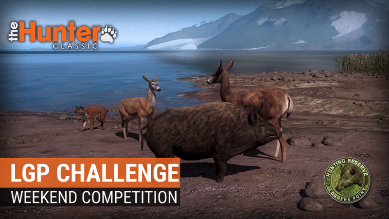 theHunter Classic - COMPETITION & SALES - Steam News