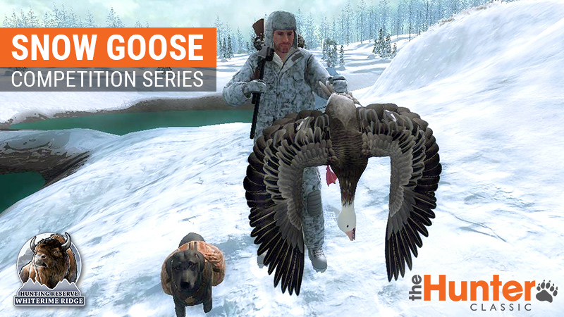 theHunter Classic - SNOW GOOSE COMPETITION - Steam News