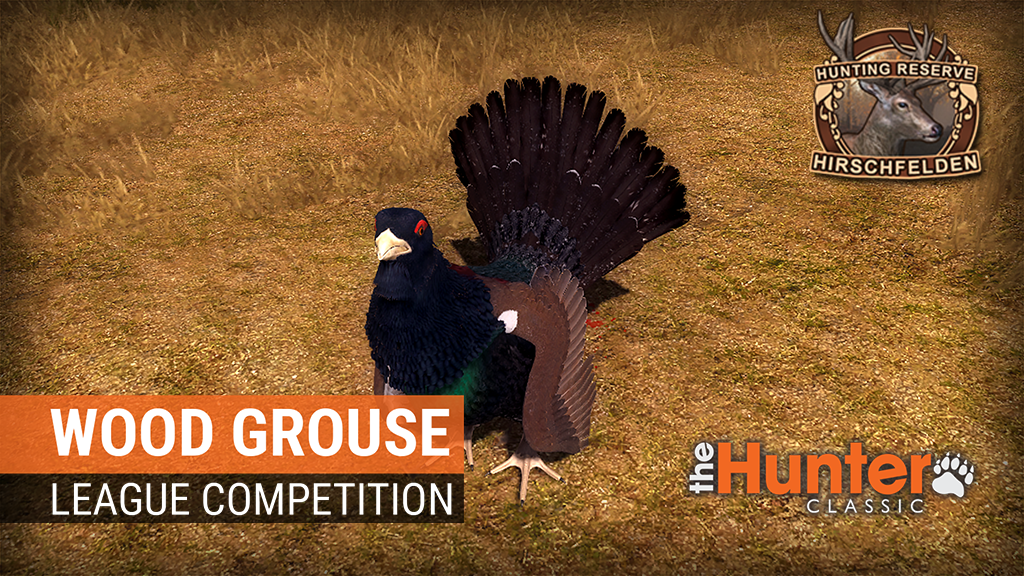 Steam Community :: theHunter Classic